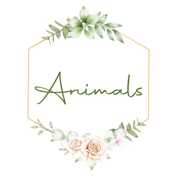 Animals – G.A.B Vinyls